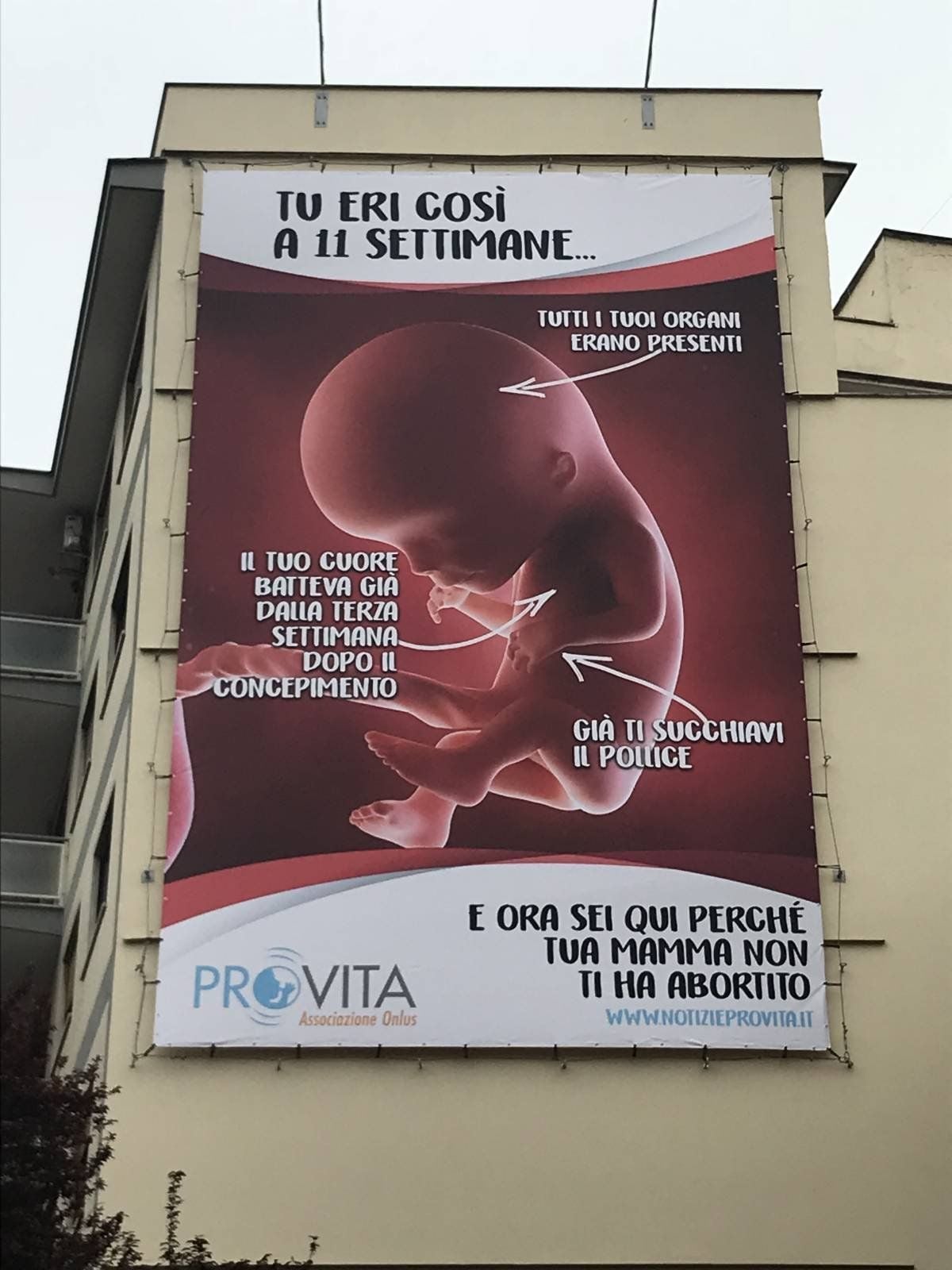 L’immagine del feto ormai fa tanta paura — La Verità